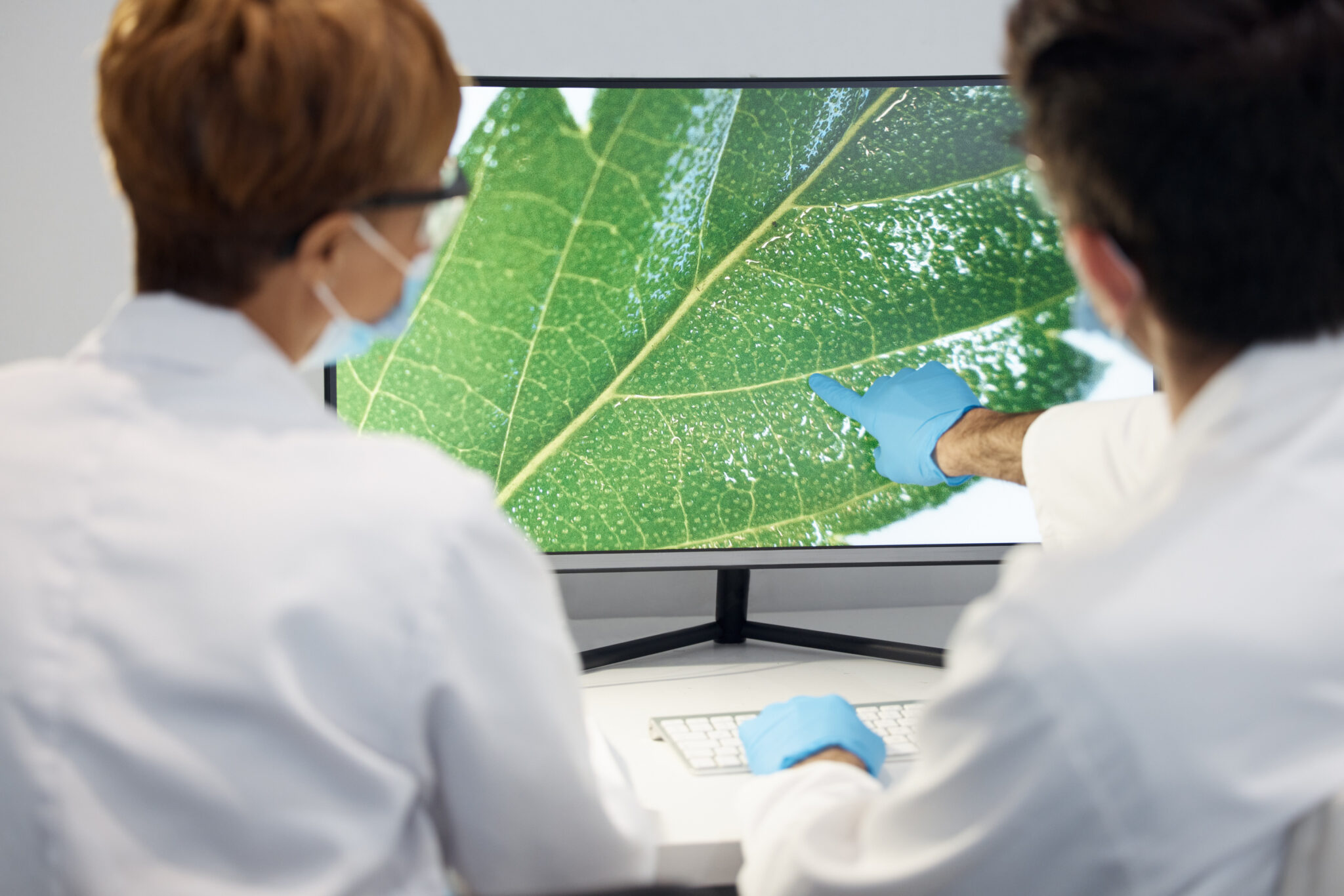 ACS Publications – Wearable Sensor Tracks Plant Stress in Real Time ...