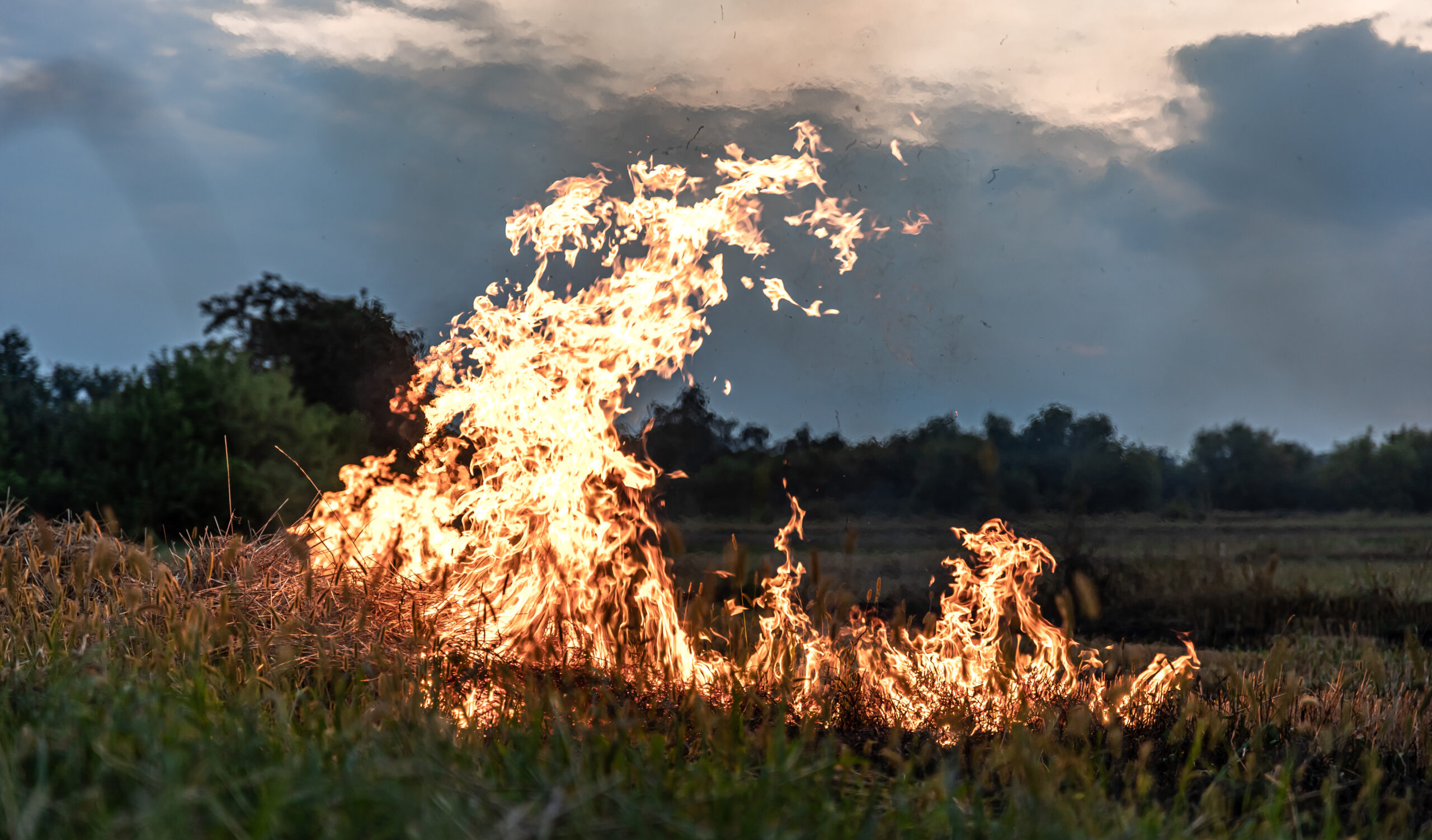 ASTM – Standards Support Fire Safety - infoHOST